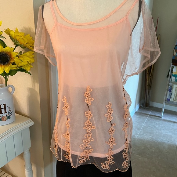 Perch By Blu Pepper | Tops | Sexy Sheer Tunic | Poshmark